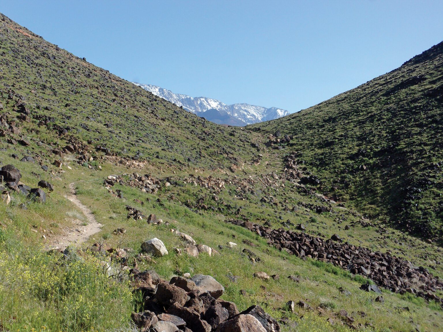Mustang Pass Loop Trail - The Independent | Southern Utah's #1 Source ...