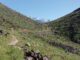Mustang Pass Loop Trail - The Independent | Southern Utah's #1 Source ...