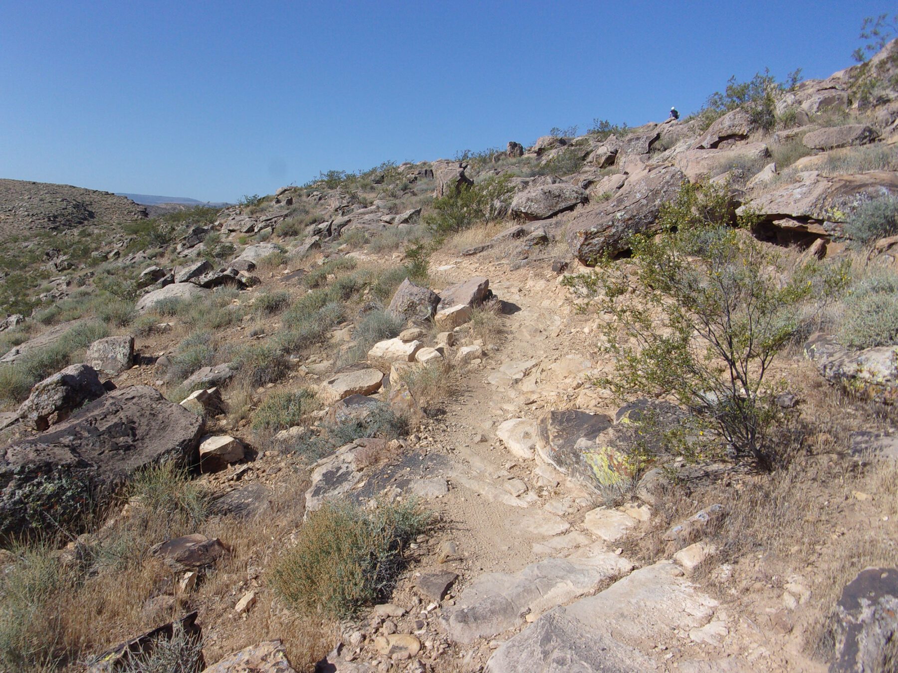Kentucky Lucky Chicken Trail - The Independent | Southern Utah's #1 ...