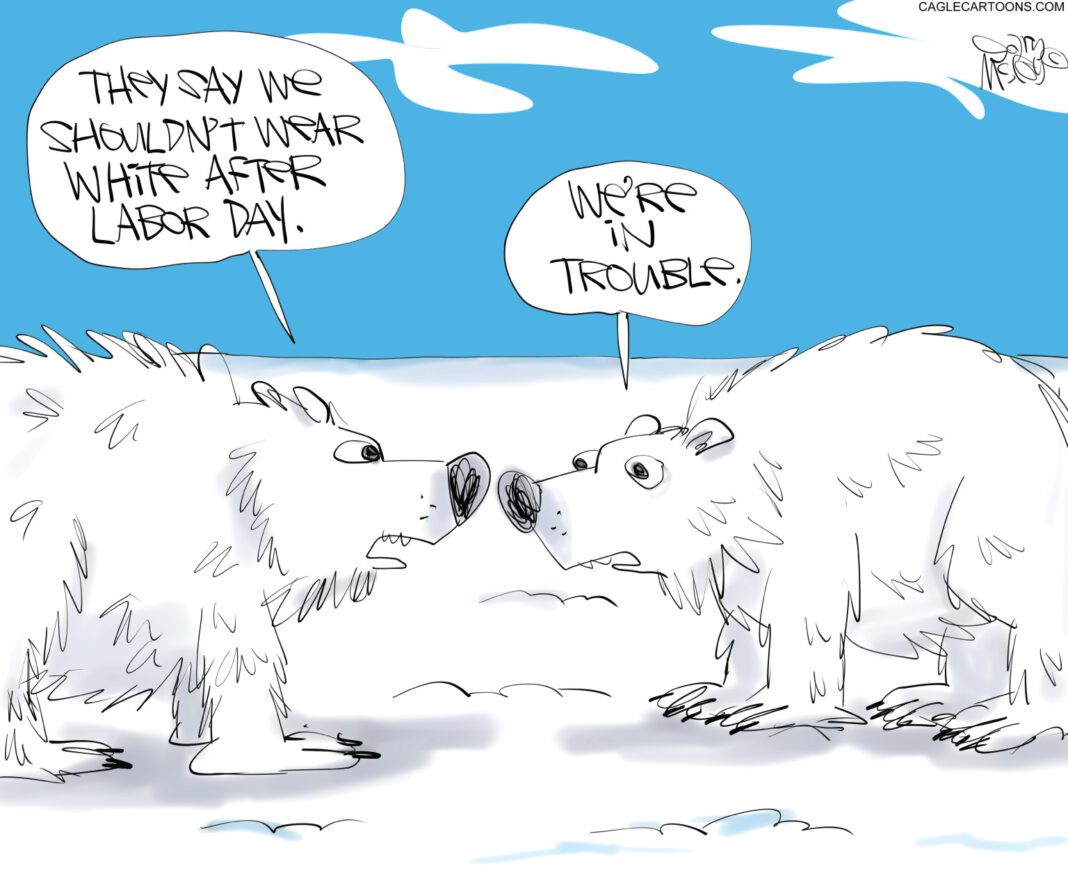 Editorial Cartoon: Polar Bear Fashion - The Independent | Southern Utah ...