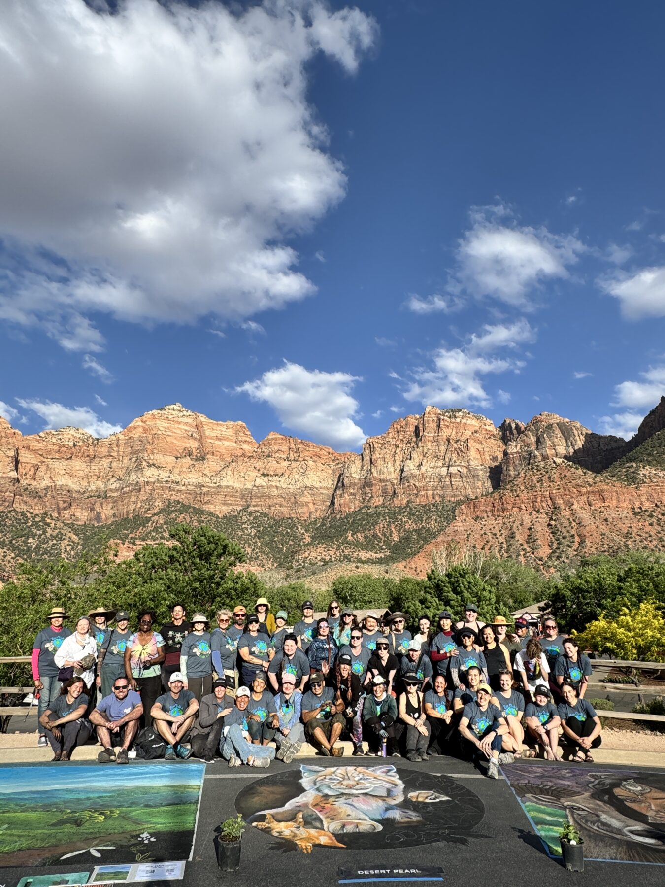 Zion Chalk & Earth Fest Returns for Its 4th Year with New Location and ...